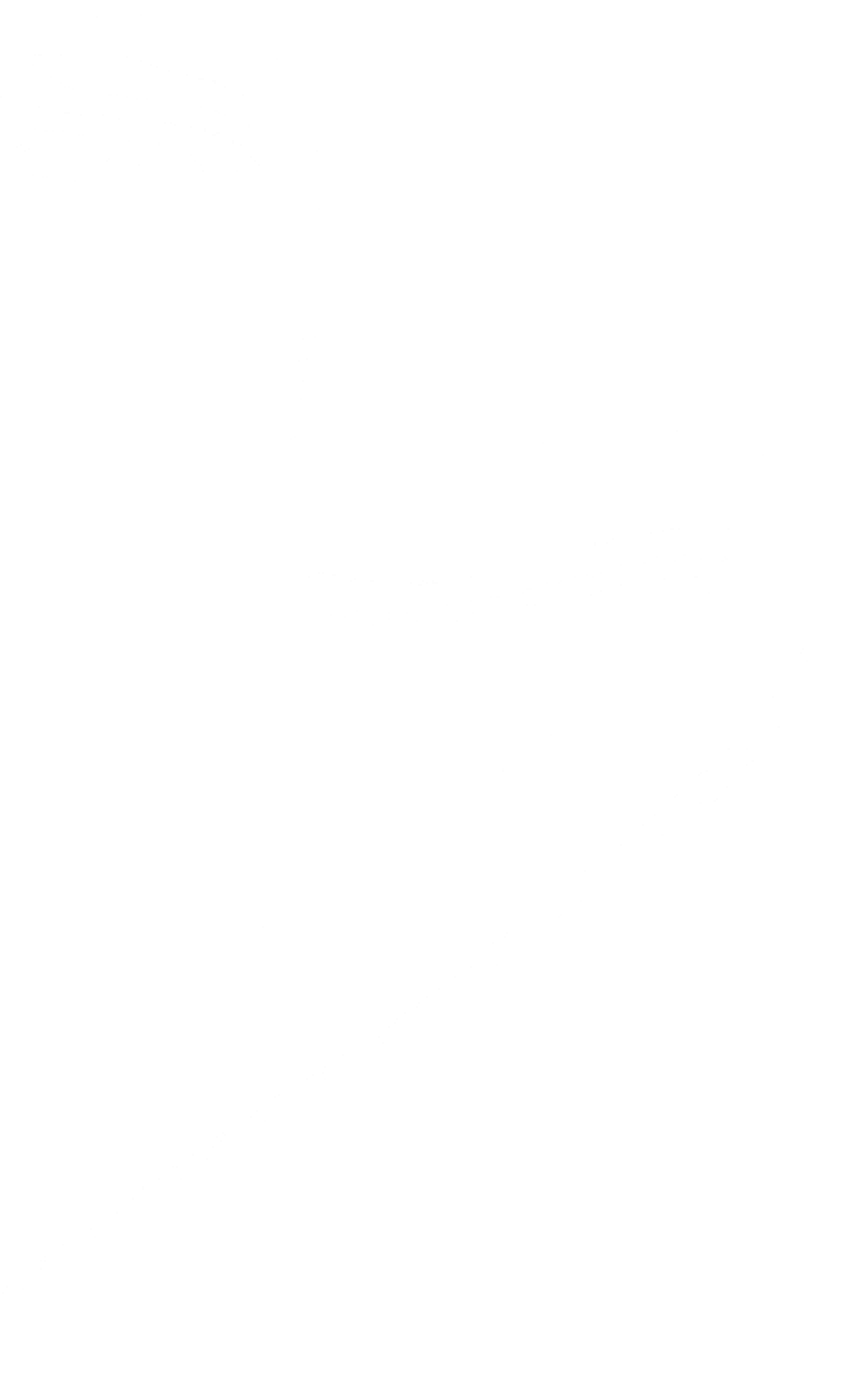 Free Section – Flexbe